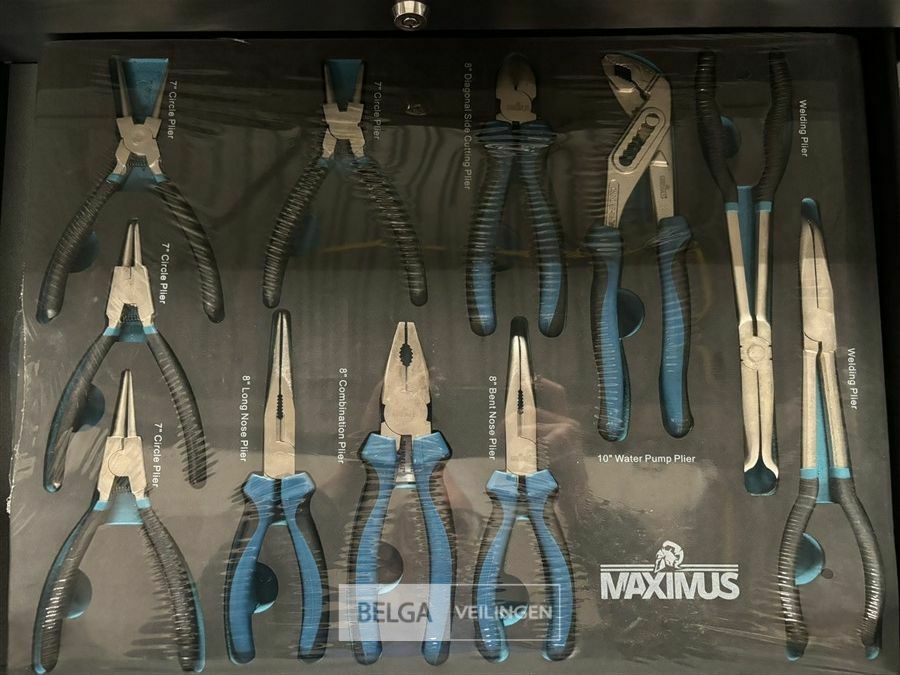 Maximus 12 drawers roller cabinet | Belga Veilingen Auctions - Enchères