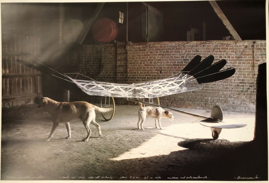 Raven matrix | Belga Veilingen Auctions - Enchères